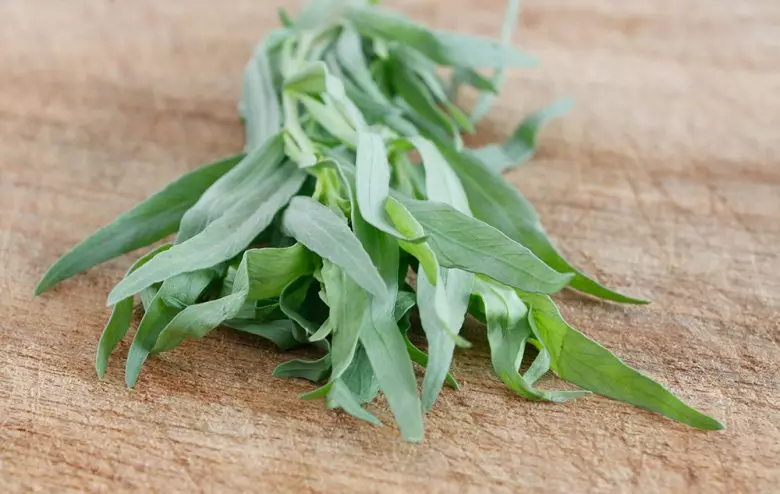 Tarragon is benammen populêr yn Frânske en Italiaanske keuken.