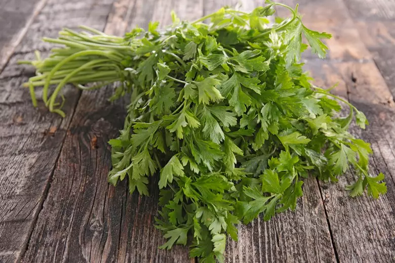 Parsley e nkoa e le mofani oa bohlokoa oa limatlafatsi oa livithamini A, B, C, E, folic acid le tšepe.