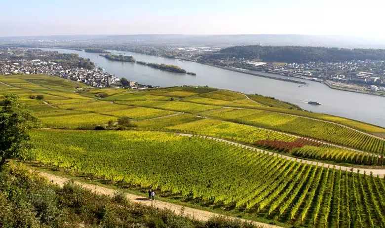 Rüdesheim am Rhein không chỉ được biết đến với các loại rượu vang, mà còn cả rượu mạnh của Asbach.